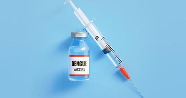 Nova vacina contra dengue representa o fim de epidemia histórica? - Saúde - Estado de Minas