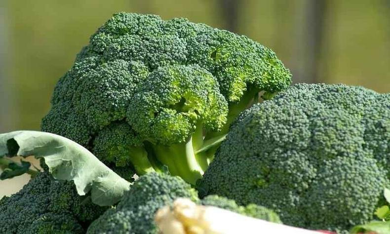 Proteção solar pelo prato: conheça alimentos fotoprotetores - Saúde ...