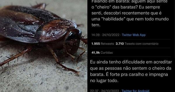 Habilidade de sentir 'cheiro de barata' viraliza na internet - Nacional - Estado de Minas
