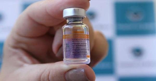 Especialistas explicam êxito da Coronavac sobre variantes da COVID-19 ...
