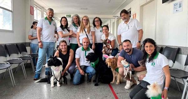 Cachorros levam conforto a pacientes internados em hospital de BH ...