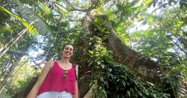 Belém abre portais mágicos na selva para um mundo místico e revelador ...