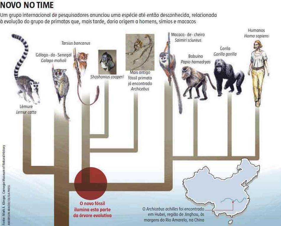 Achado o mais antigo ancestral do homem - Tecnologia - Estado de Minas