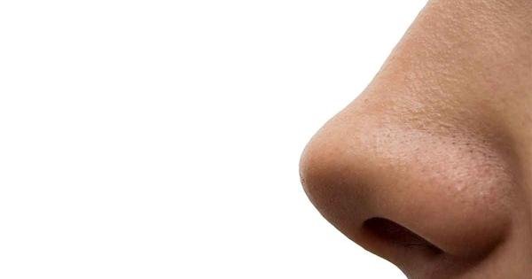 Quer mudar o nariz? Conheça as vantagens da perfiloplastia - Anna ...